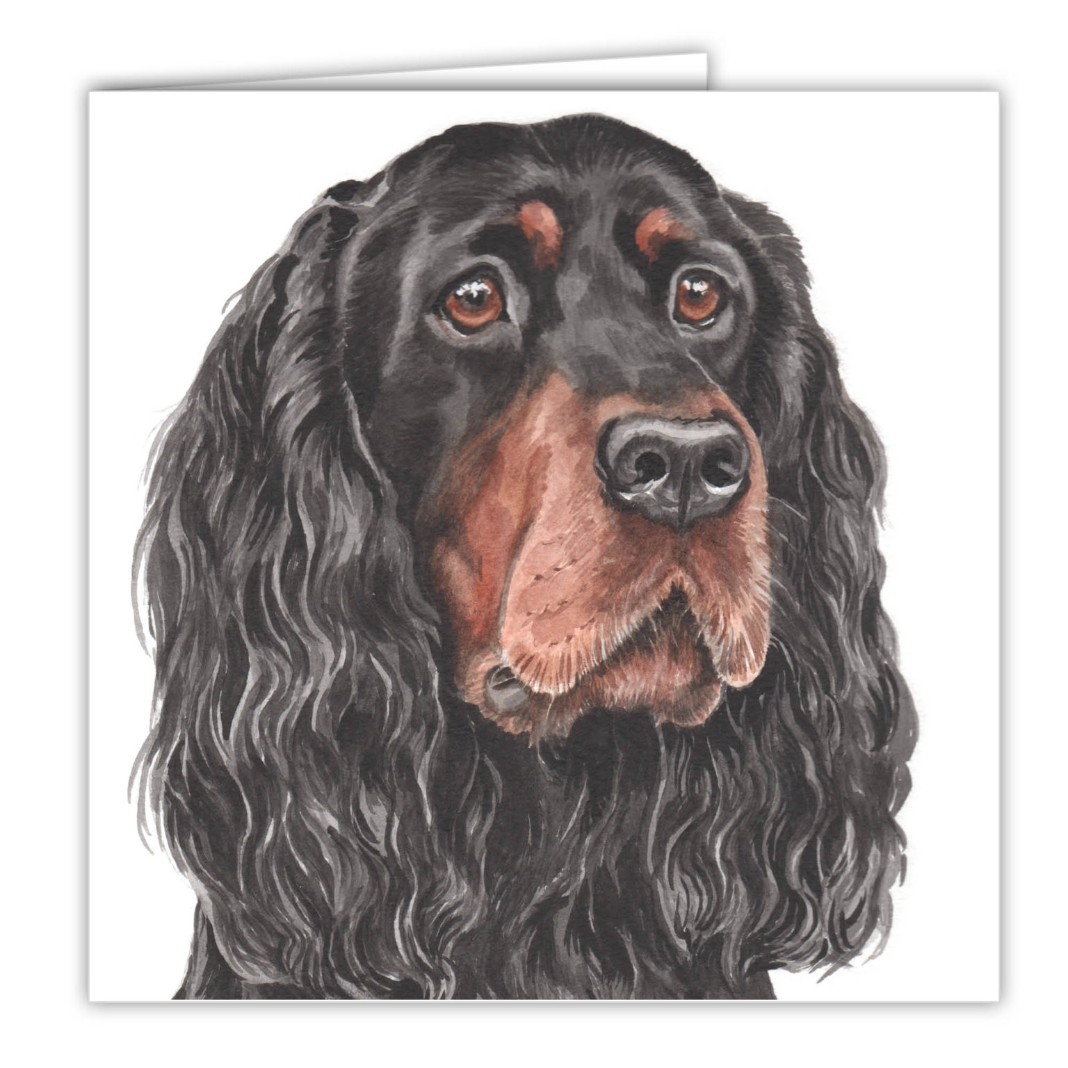 Gordon Setter Dog Art Card / Greetings Card (AC-185) - WaggyDogz
