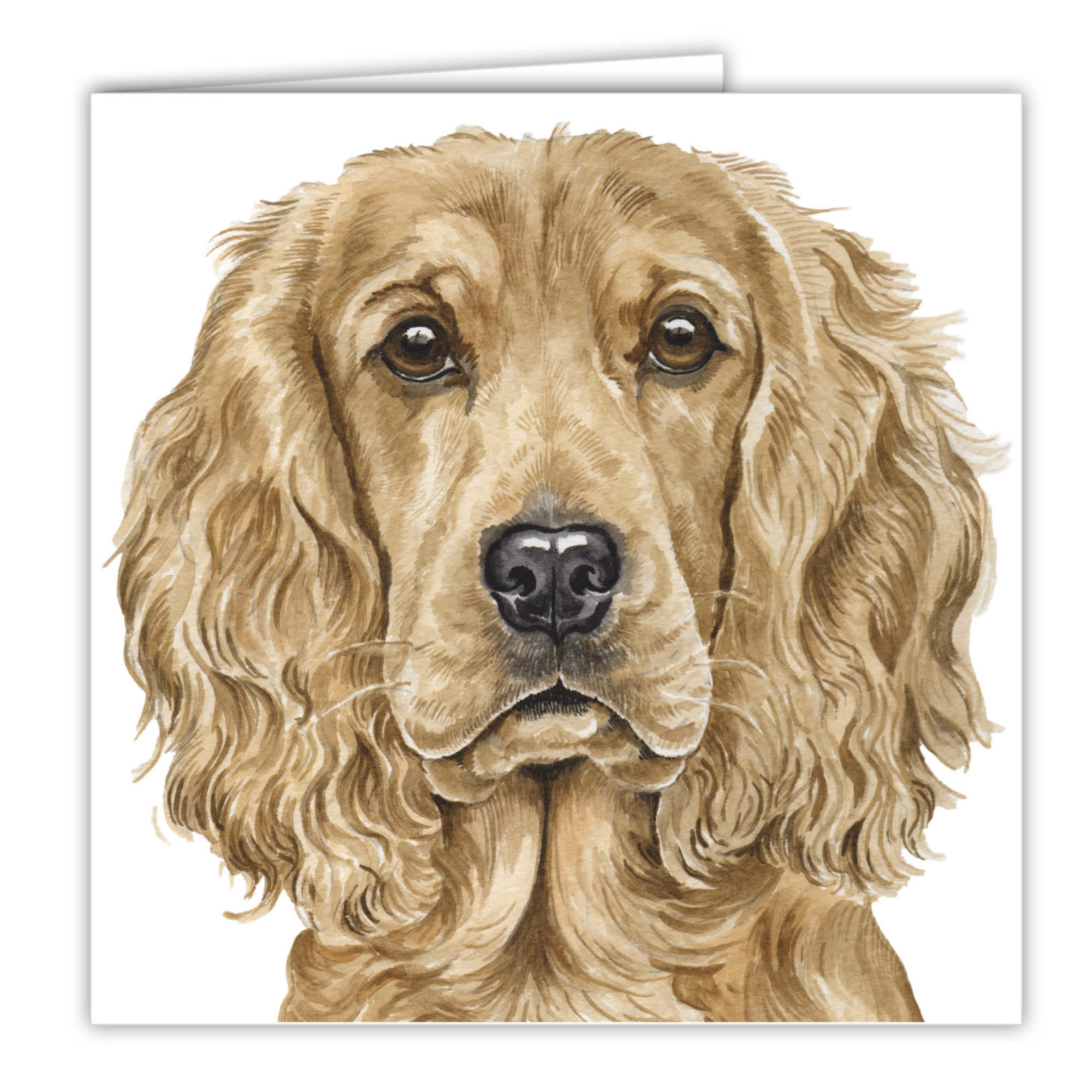 Cocker Spaniel Dog Art Card / Greetings Card (AC-204) - WaggyDogz