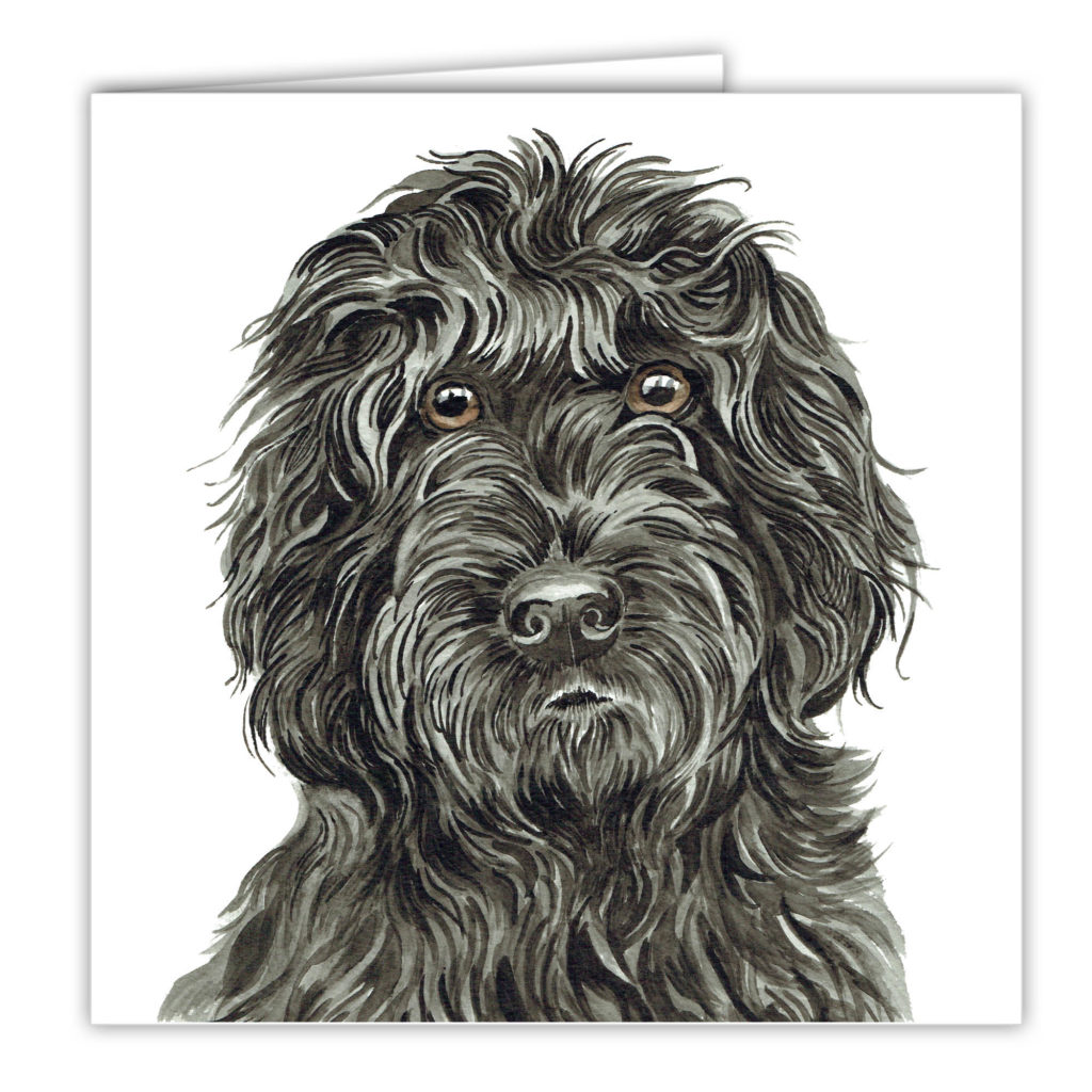 Cockapoo Archives - WaggyDogz