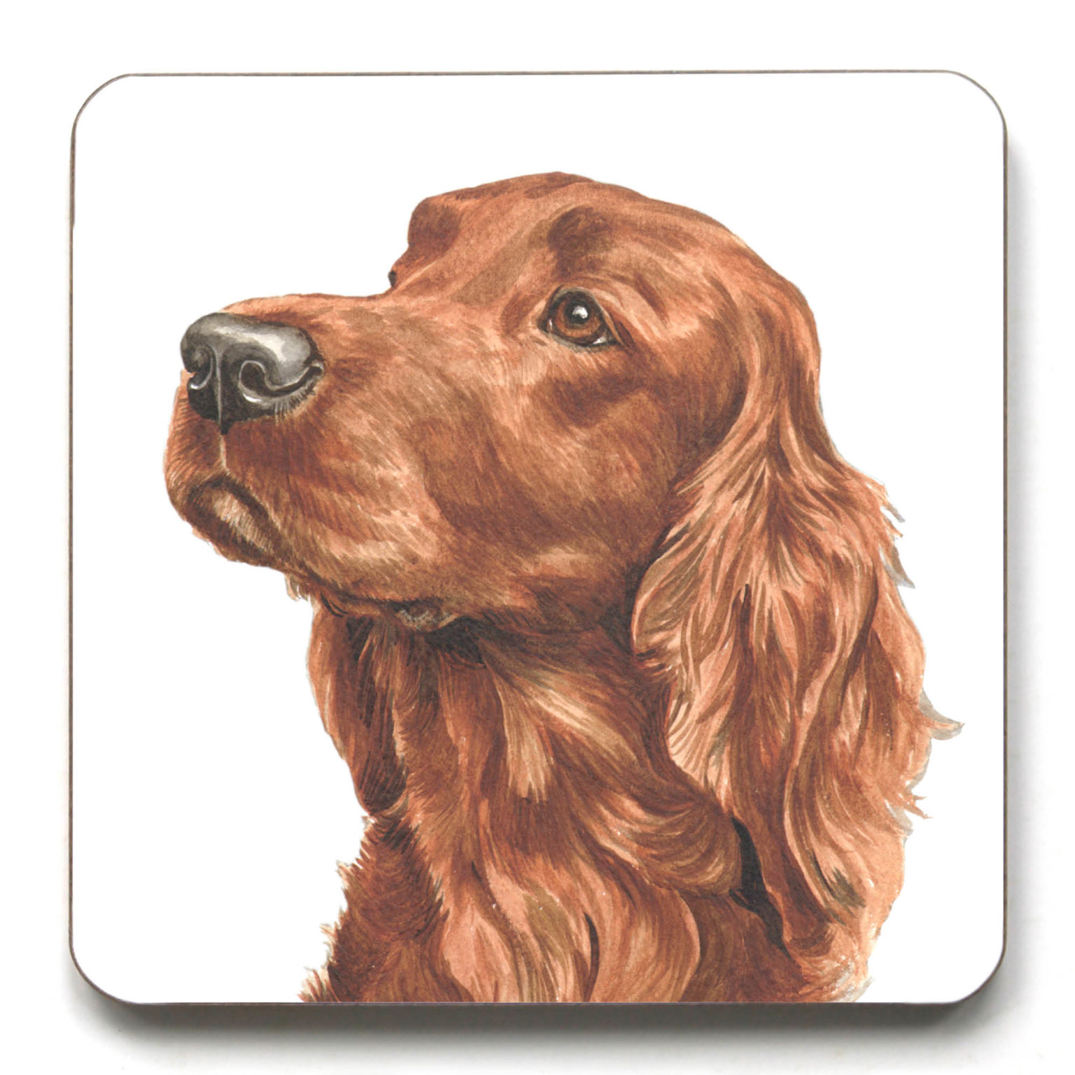 Cockapoo Coaster (CST-209) - WaggyDogz