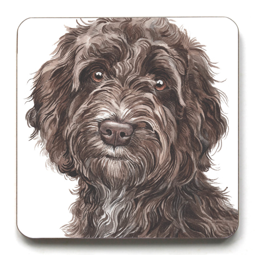 Cockapoo Archives - WaggyDogz