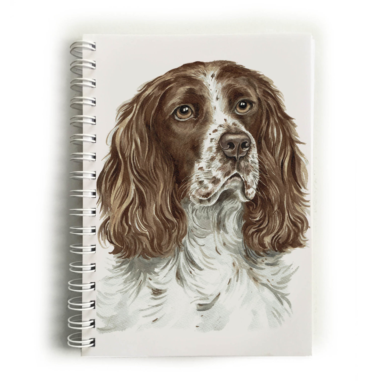 Brown / Chocolate Cocker Spaniel Art Card / Greetings Card - WaggyDogz